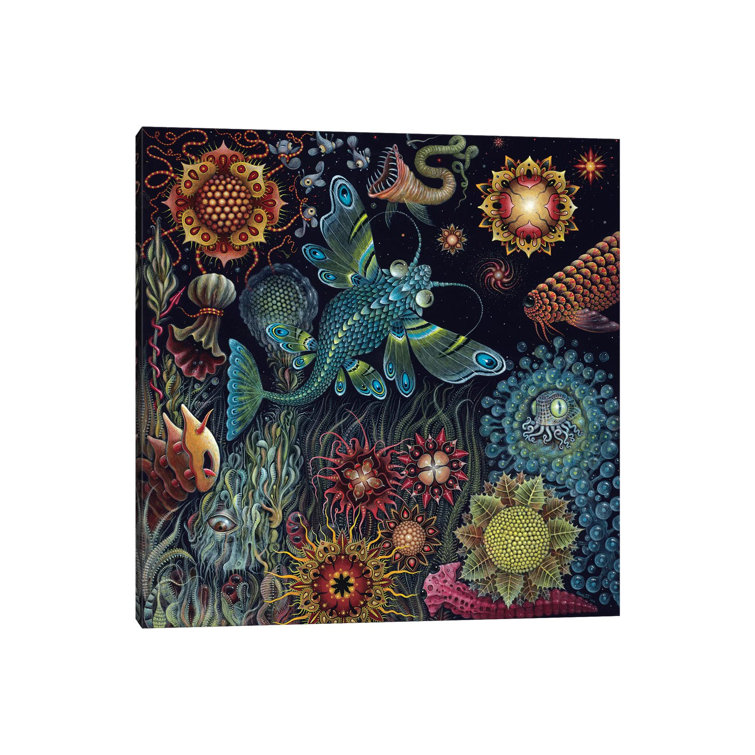 Happy Larry Starfish by R.S. Connett - Wrapped Canvas Graphic Art | Wayfair.co.uk